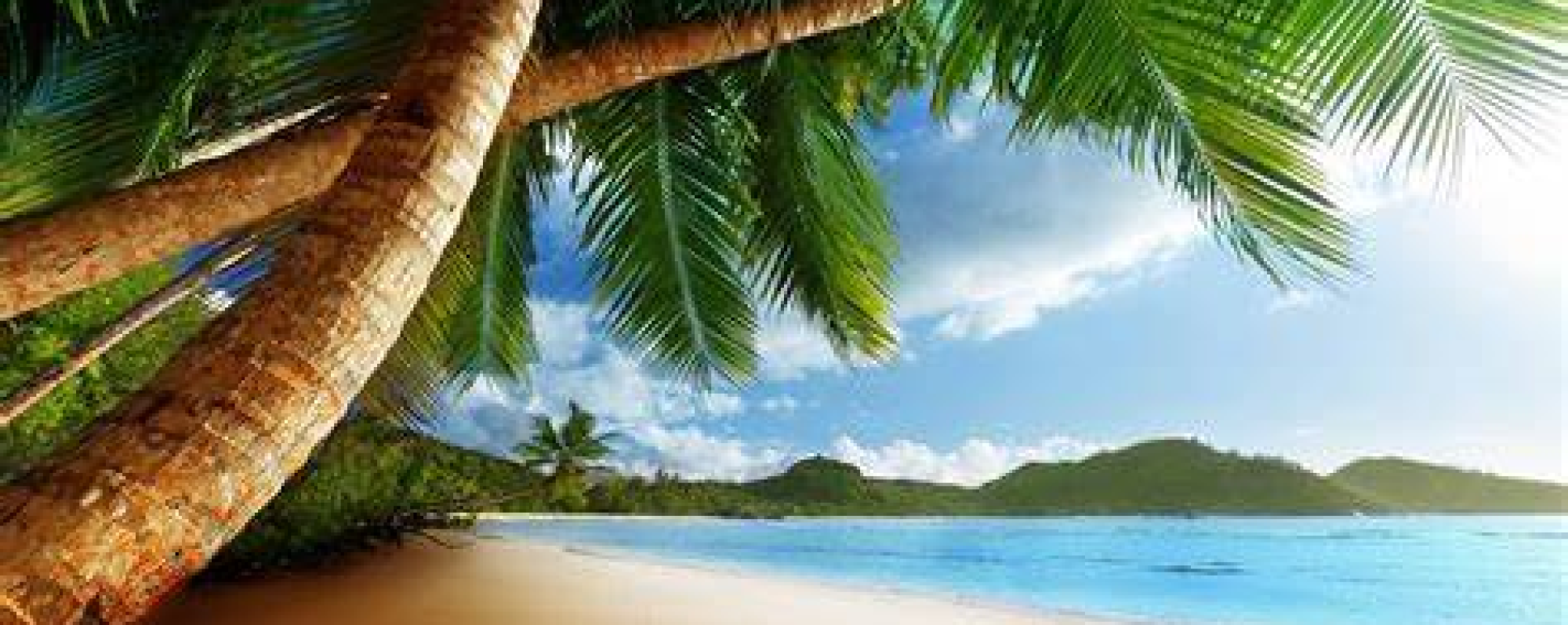 Services – Vernon Spa NJ